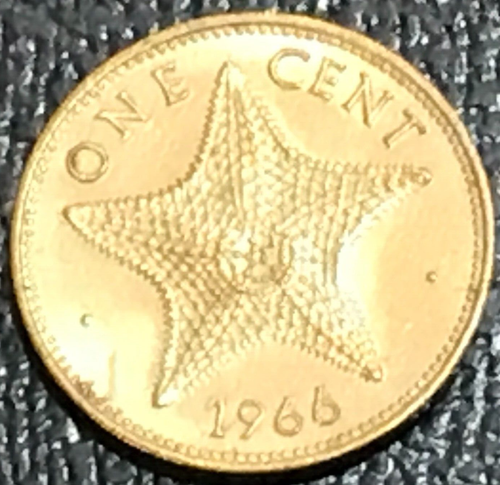 HIGH GRADE UNC 1966 BAHAMAS ISLANDS STARFISH ONE CENT COIN-MAY255 | eBay