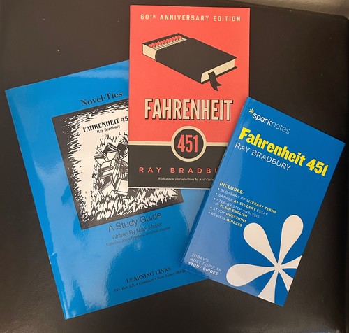 Novel-Ties Fahrenheit 451 Study Guide, Book, Spark Notes Set Homeschool ...
