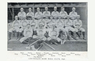 Boston National Bloomer Girls Baseball Club RPPC Photo Postcard Copy | eBay