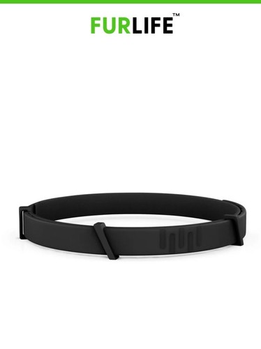 FURLIFE 8 Month Flea, Tick & Bug Free Dog Collar Non Toxic (BLACK) | eBay