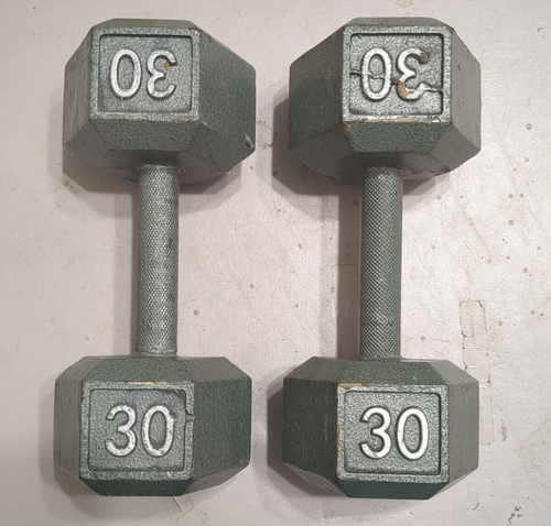 1 Pair Of 30 Lb Dumb Bell Weights Total 60 Lbs Pre Owned | eBay