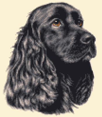 BLACK COCKER SPANIEL dog - FULL counted cross stitch kit *Jann Designs ...