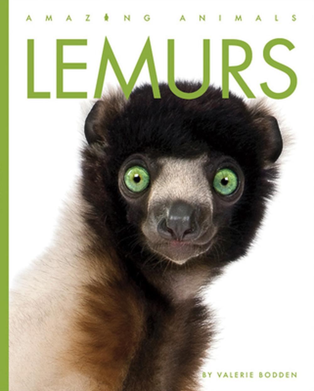 Lemurs by Valerie Bodden (English) Hardcover Book 9781640265677| eBay