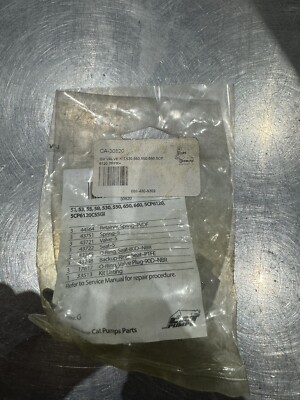 Genuine Cat Pump Kit 30820 | eBay