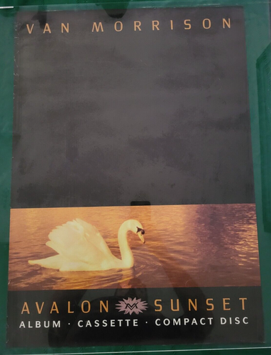 Van Morrison Avalon Sunset Album Promo Poster 1989 Jazz Rock Band | eBay