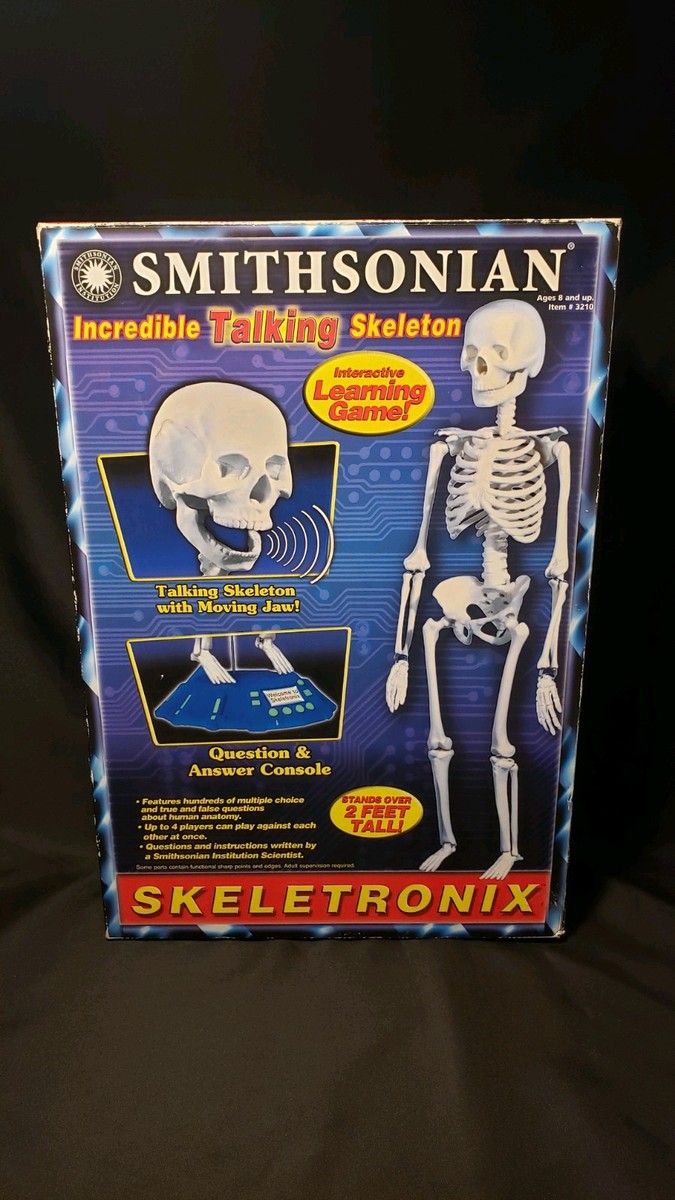 Skeleton Games Anatomy