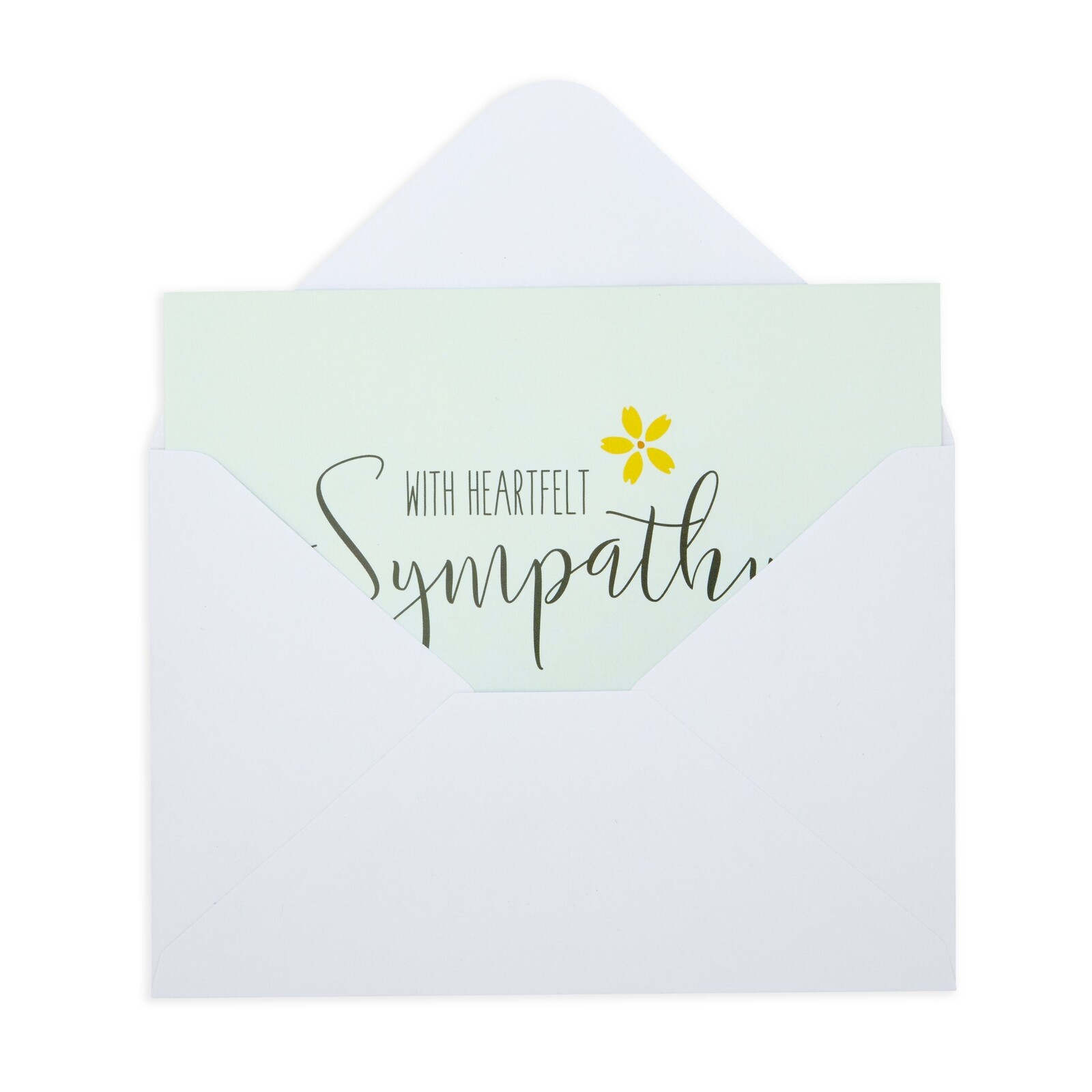 48 Pack Bulk Sympathy Cards with Envelopes Box Set, 6 Foliage Designs ...