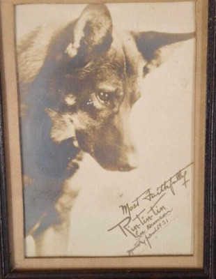 1931 Rin-tin-tin And Lee Duncan Signed Photo Card Early Film History ...