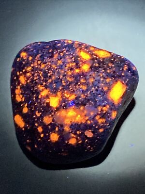 FLUORESCENT SODALITE ROCK FROM LAKE ONTARIO IN NEW YORK! FREE DOMESTIC ...