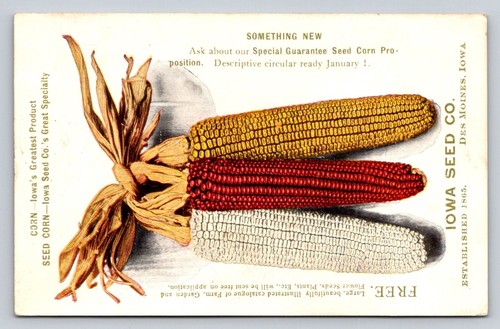 Iowa Seed Corn Corn Des Moines Advertising Postcard P543 | eBay
