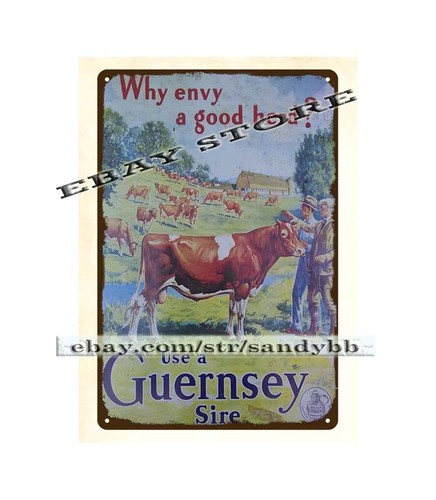 Envy A Good Herd Guernsey Sire Cattle cow farm livestock metal tin sign ...
