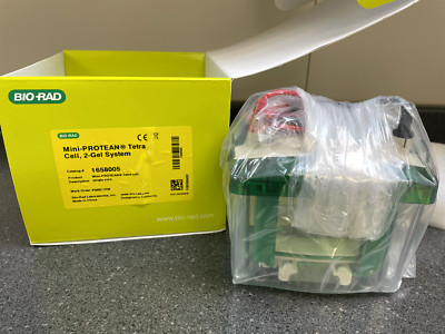 Biorad Mini-PROTEAN Tetra Cell, 2-Gel System 1658005 - UNUSED | eBay