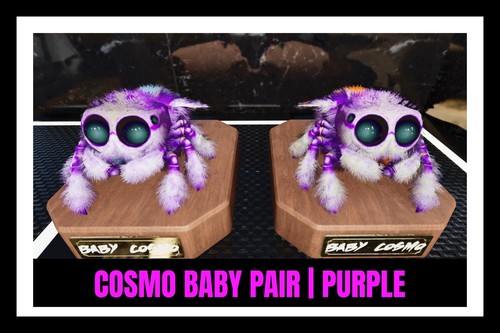 ARK Survival Ascended PvE COSMO PAIR ABERRATION PURPLE PC/XBOX/PS5 ASA ...