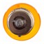 Globe 12V 21W Ind Suzuki GSXR1000 K5-7 Amber (Packet of 10) | eBay