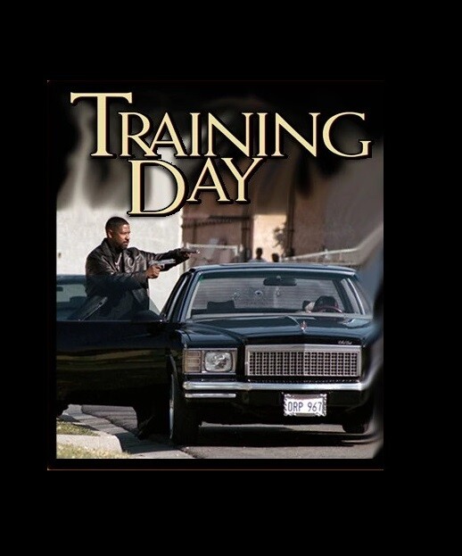 Movie & Series 1:24 1:25 scale water slide license plate decals white ...