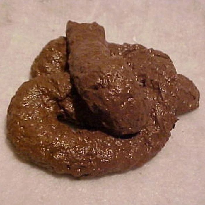 Pile Of Shit Pile Of Shit