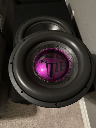 FI Audio Neo 3.9 12 In Subwoofer! Insane SPL/Sound Quality. 75lbs ...