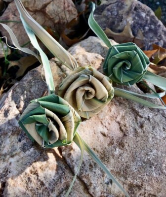 Sweetgrass Palmetto Roses (8 per order) | eBay