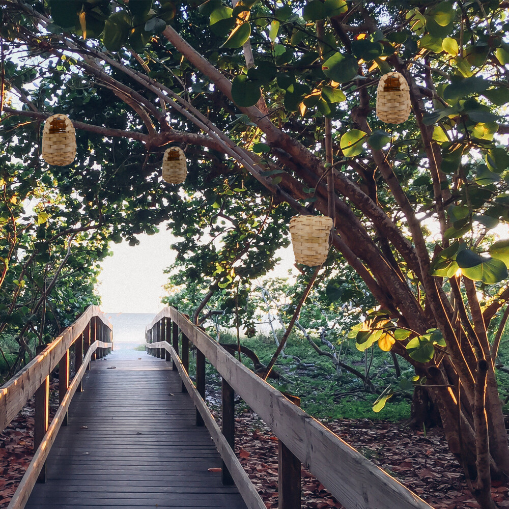 6 Pcs Bird Shelter Creative Nest Weaving Birds House Hummingbird | eBay