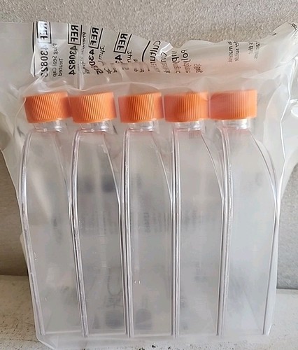5 Corning 430825 150cm² Cell Culture Flask Canted Neck Nonpyrogenic ...