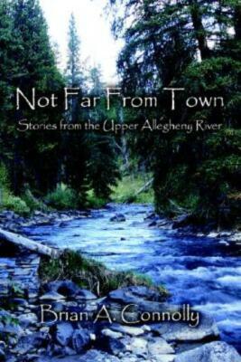 Not Far From Town 9781589398658| eBay