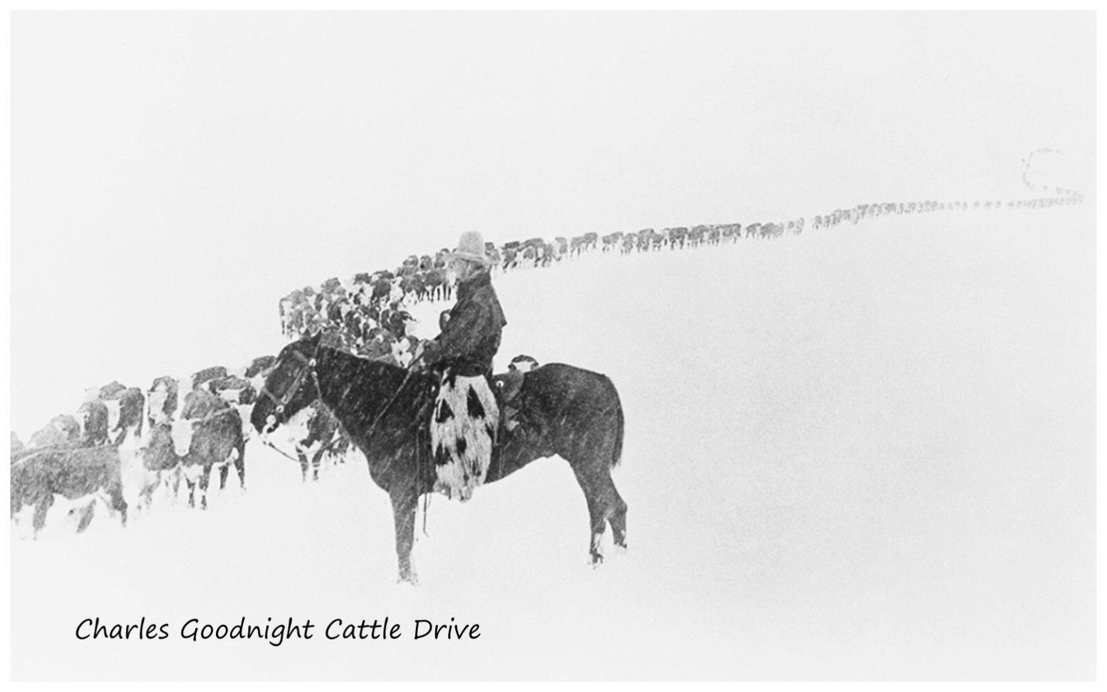 Charles Goodnight Cattle Drive Reprint Postcard #77531 | eBay