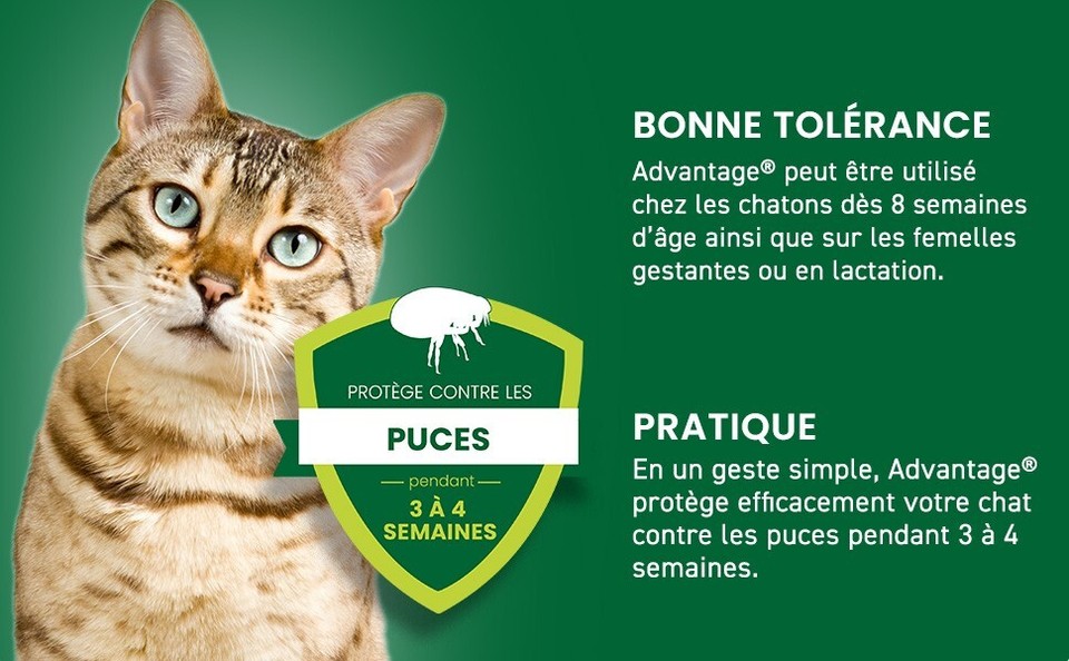 ADVANTAGE¹ Chat 40/ 80 anti puce flea treatment 1 a 8 kg EXCLUSIF 6 ...