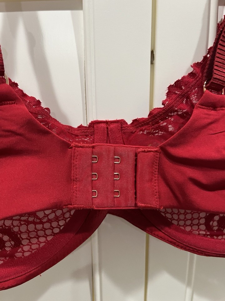 Le Mystere Red Lace Allure Unlined Underwire Bra Style 8246 34 DDD/F ...