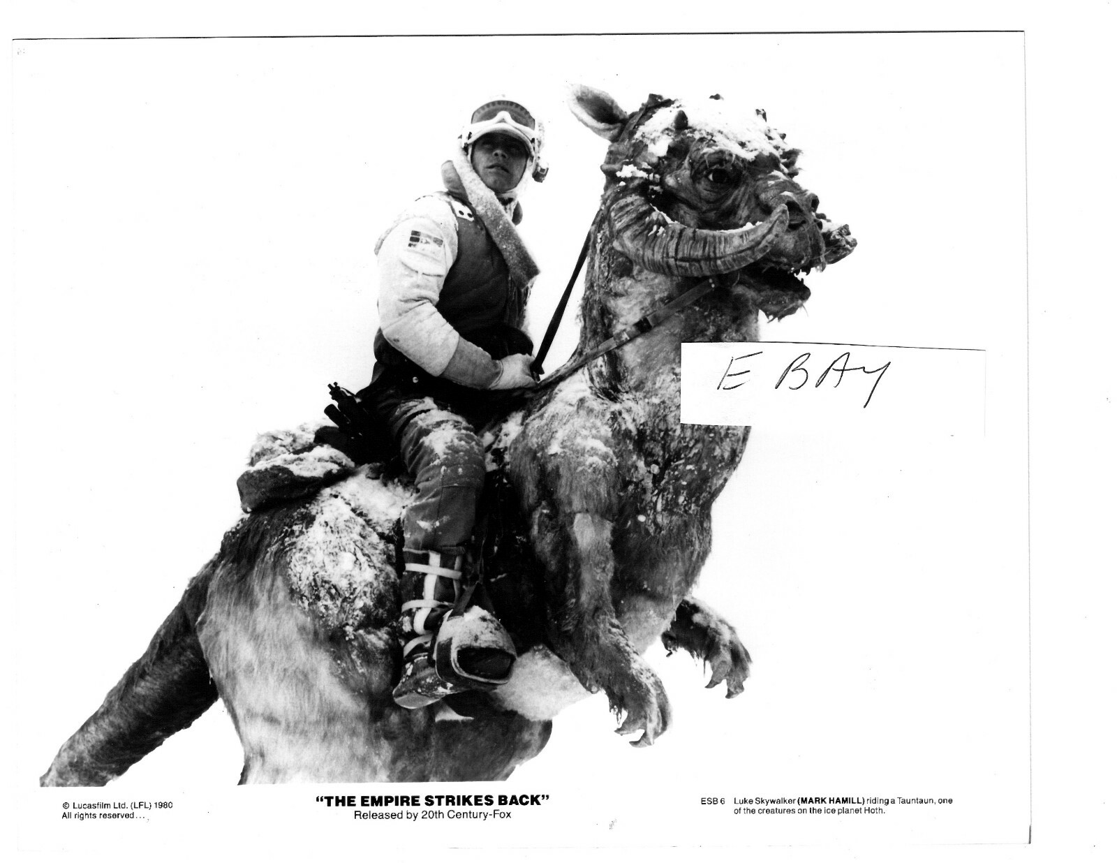 Empire Strikes Back Creatures