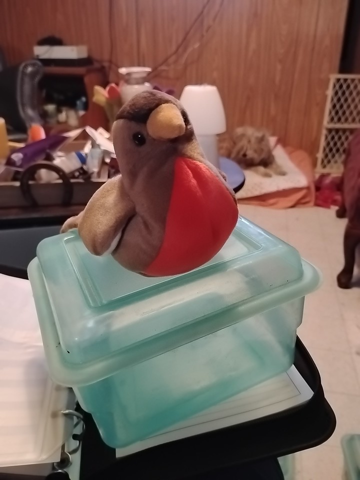 ️ EARLY ️ 1997 Ty Beanie Babies Red Breasted ROBIN Bird Baby *MWMT* | eBay