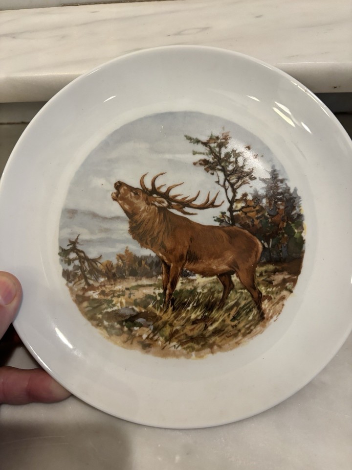 Vintage ST Bavaria Germany Blue Deer Buck Plates; One 11.5” Gold Trim ...