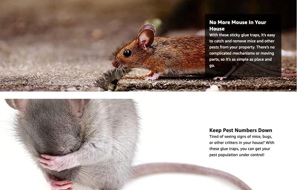 24-Count Rat Mouse Snake Sticky Pest Baited Disposable Glue Traps Black ...