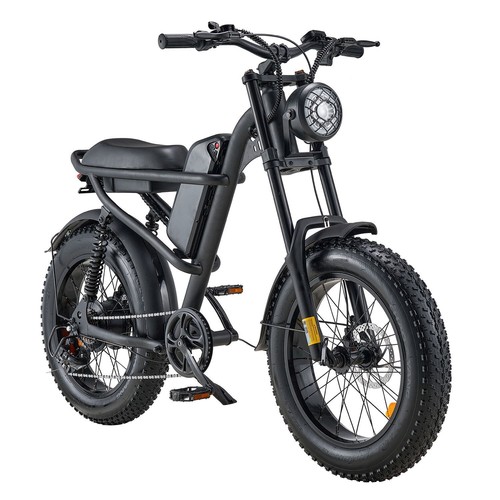 20" E-Bike 48V 22Ah 1500W Fat Tire Mountain Bike Off Road Bike Dual ...