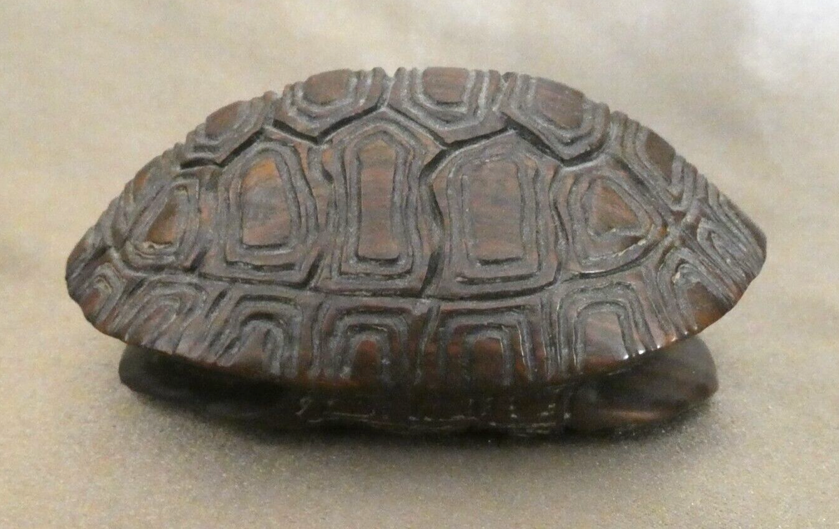 Wood Turtle Shell Home Is Where Your Shell Is: Learning About Turtles