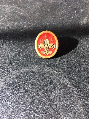 Vintage BSA Brass and Red Enamel Pin Boy Scouts Fleur-de-Lis | eBay