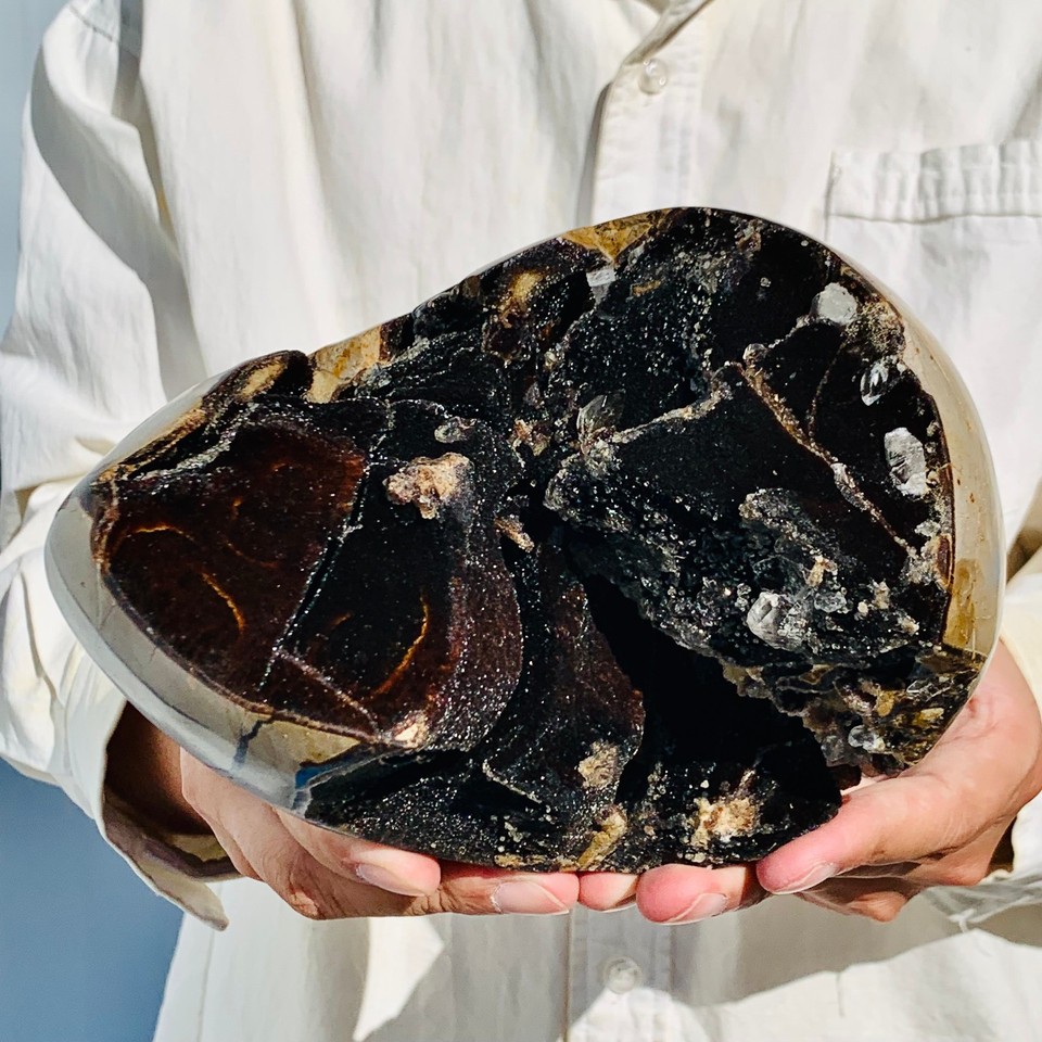 6.25LB Natural Turtle Back Stone Dragon Crystal Cave Crack Gem Healing ...