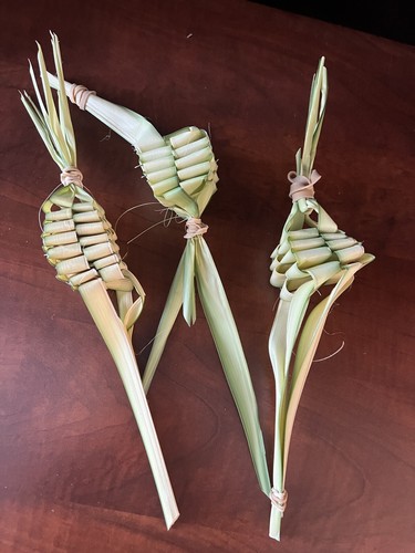 3 Blessed Palm Sunday Braided Palms Easter Catholic Church 2024 | eBay