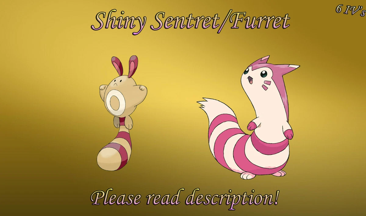 Shiny Furret X And Y
