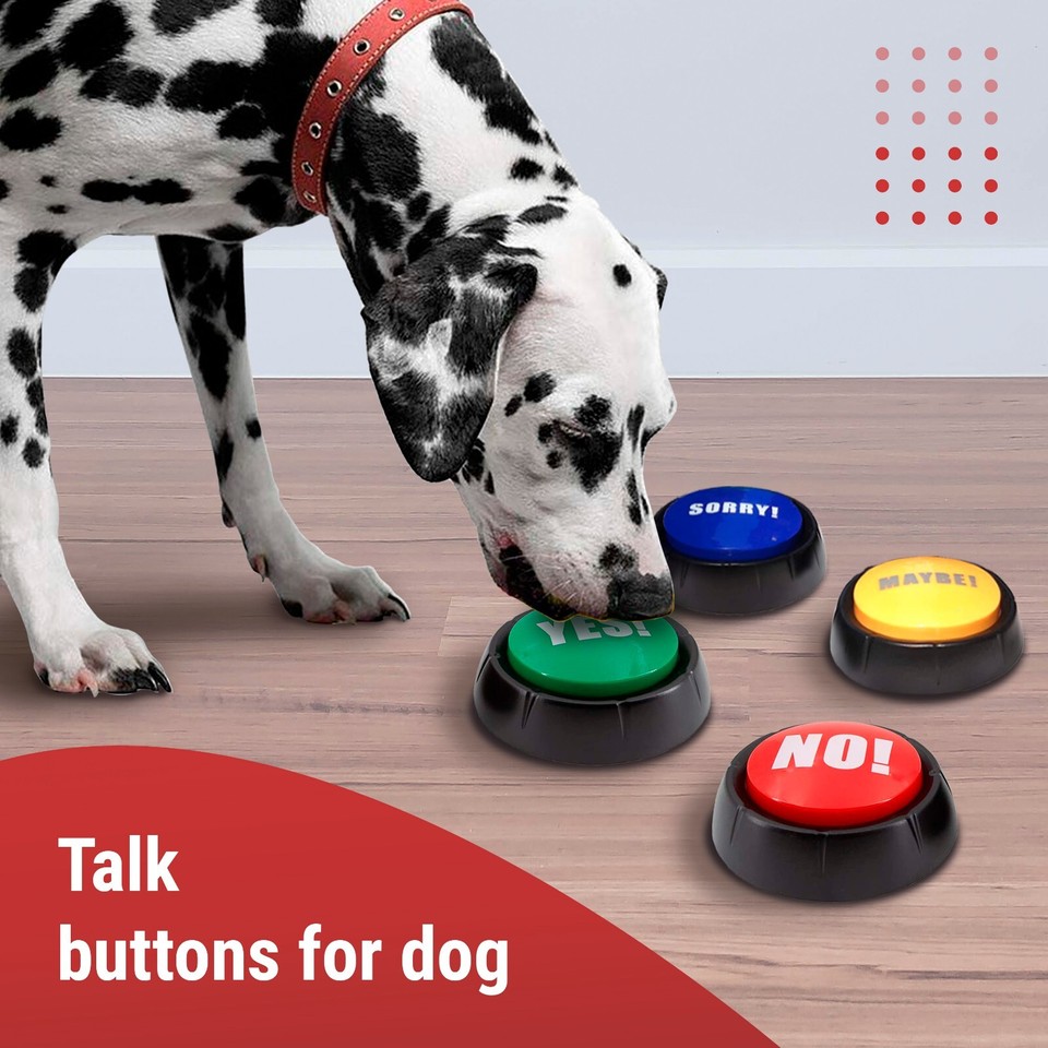 Yes No Button & Maybe Sorry Button, Yes No Button with sound, Answer ...