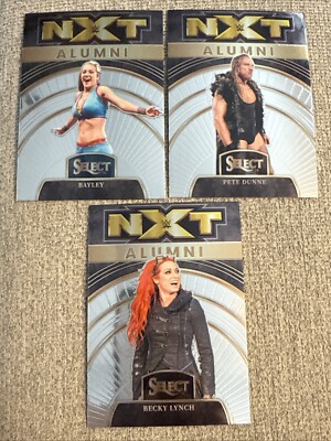NXT ALUMNI 2024 Panini Select WWE Wrestling Insert Cards You Pick ...