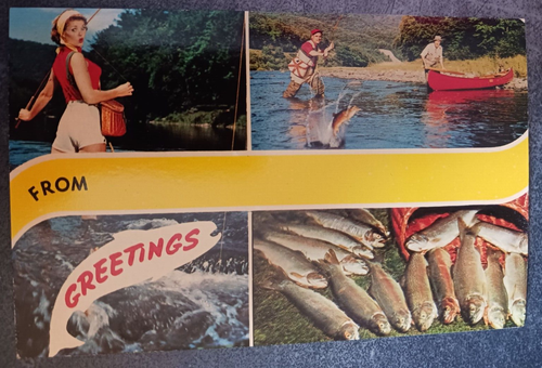 vtg postcard Greetings from Pretty Woman Fishing Pin-Up Chrome Dexter ...