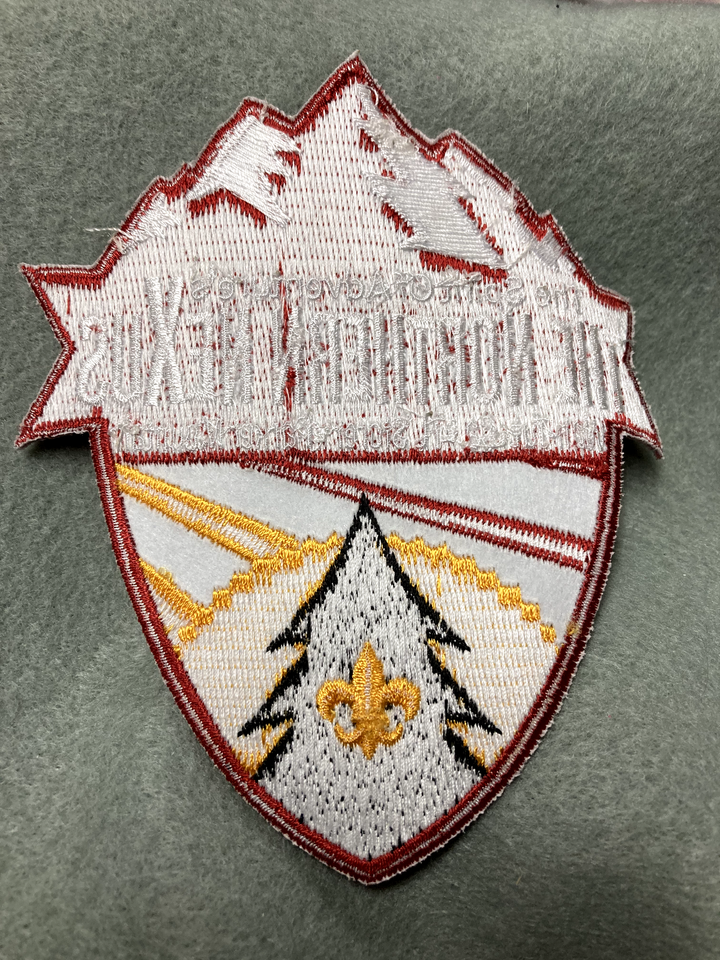 (135) Boy Scouts- The Northern Nexus camp patch | eBay