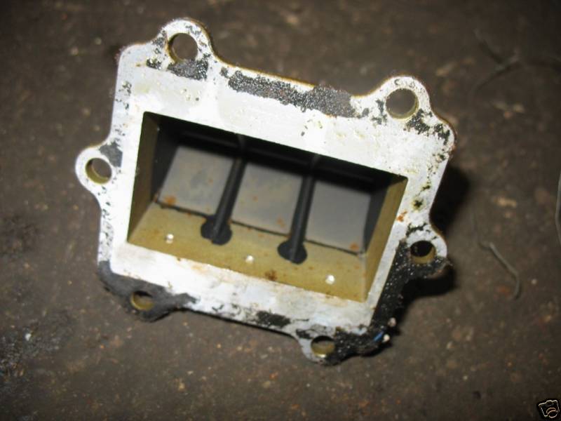 ARCTIC CAT TIGERSHARK TIGER SHARK 650 REED CAGE | eBay