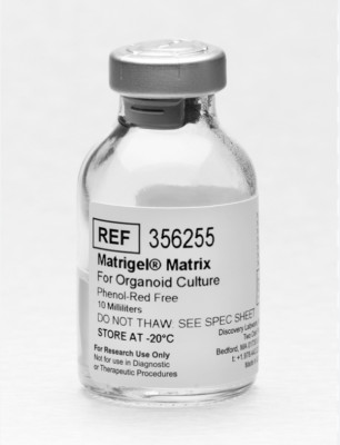 Corning® Matrigel® Matrix for Organoid Culture, Phenol Red-free, LDEV ...