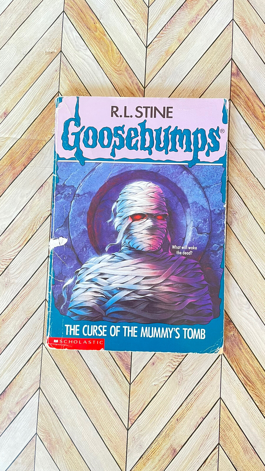 Goosebumps #5 The Curse Of The Mummy’s Tomb! R. L. Stine, Published ...
