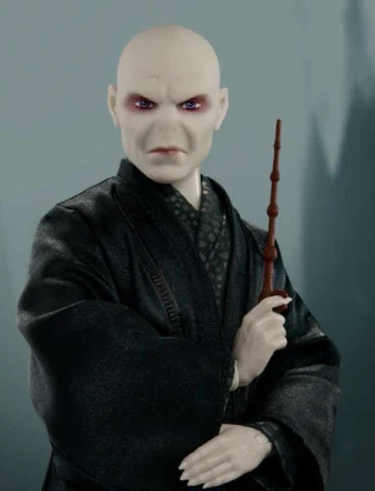Mattel Harry Potter Design Collection – LORD VOLDEMORT Doll | eBay