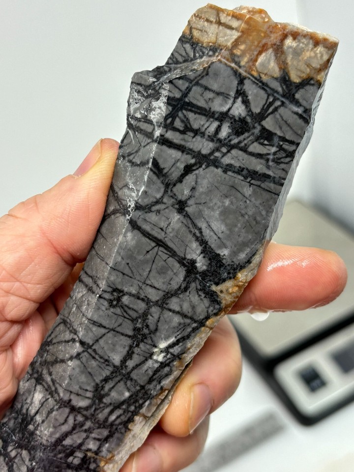 Picasso Marble (Jasper) Slab Cabbing Lapidary Utah Combo Ship Avail | eBay