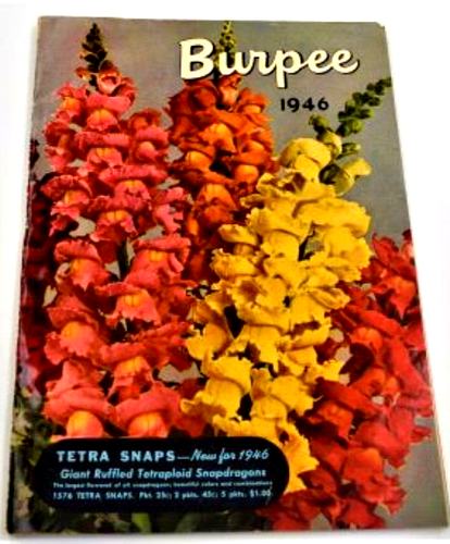 Burpee Seeds Catalog 1946 Supreme Snapdragons Flowers Vegetables ...