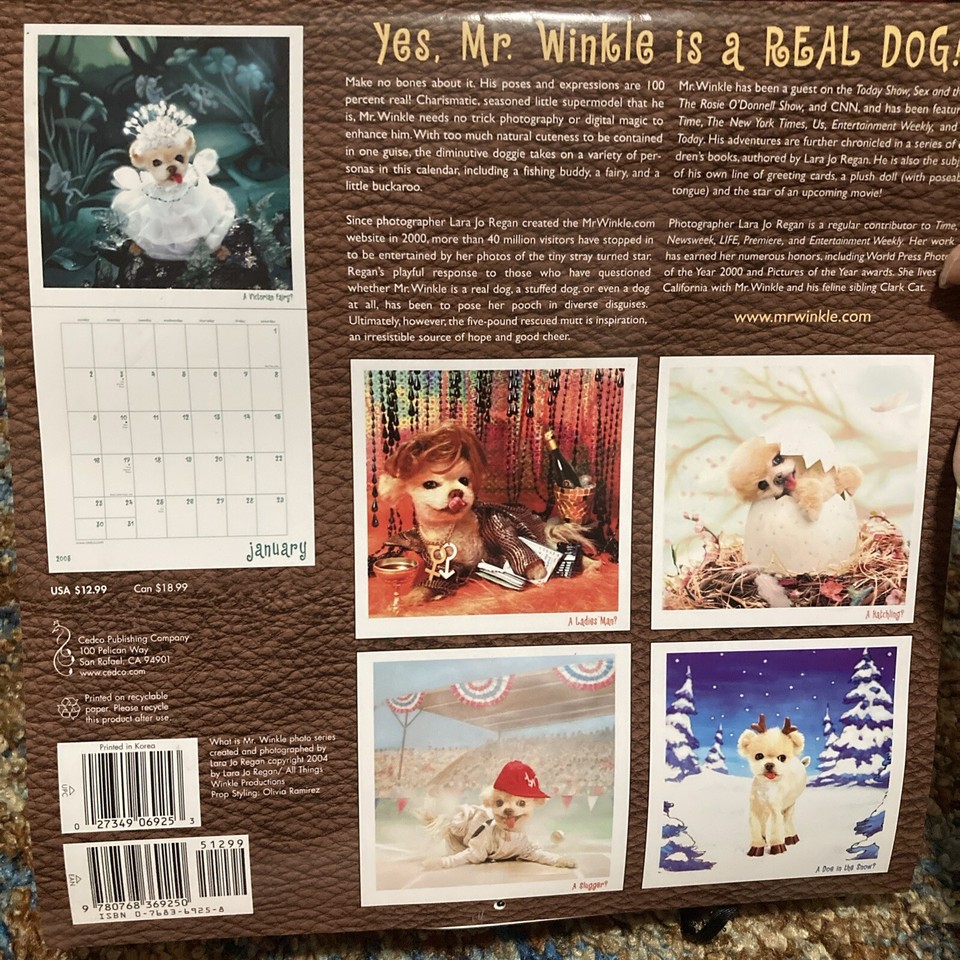 What is Mr. Winkle? Wall Calendar 2005 Lara Jo Regan | eBay