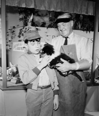 Jerry Mathers, Jess Kirkpatrick On Leave It To Beaver 1960S Old Tv ...